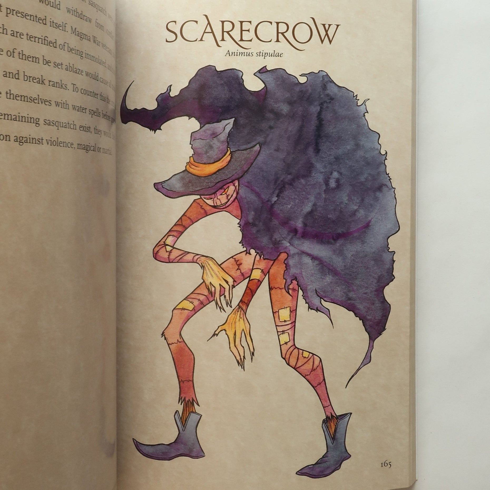 Compendium of North American Cryptids & Magical Creatures – Tabletop Bookshelf