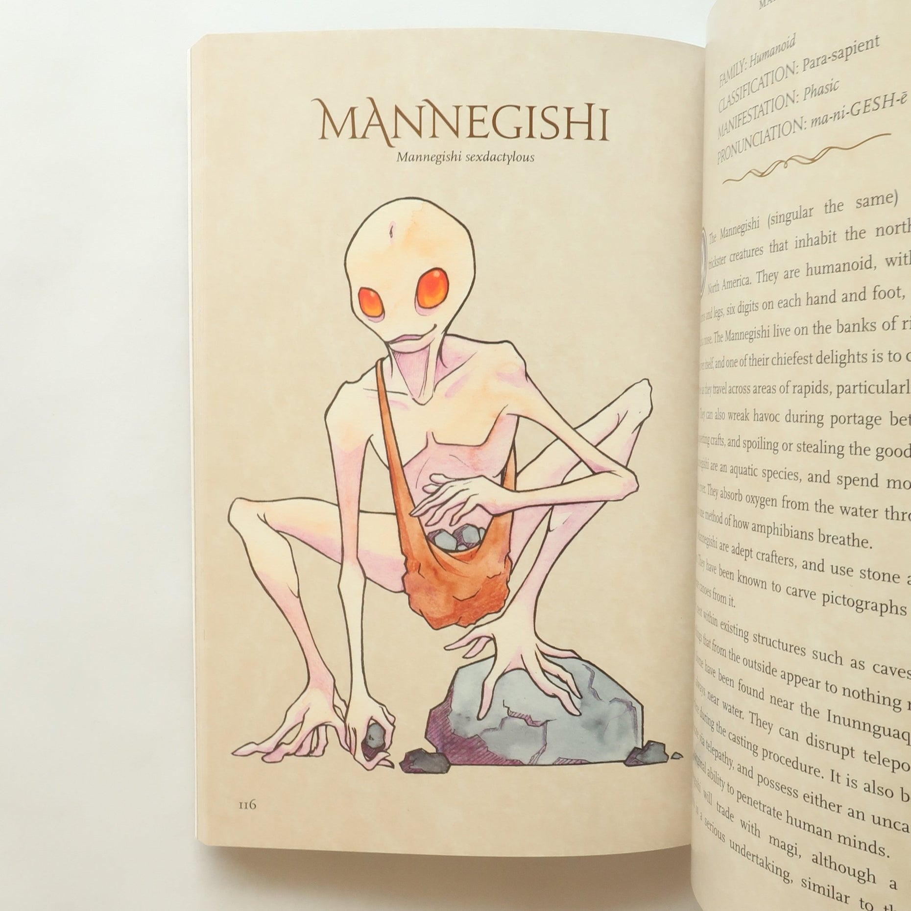 Compendium of North American Cryptids & Magical Creatures – Tabletop Bookshelf