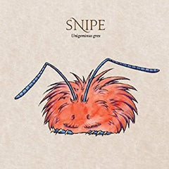 Compendium of North American Cryptids & Magical Creatures – Tabletop Bookshelf